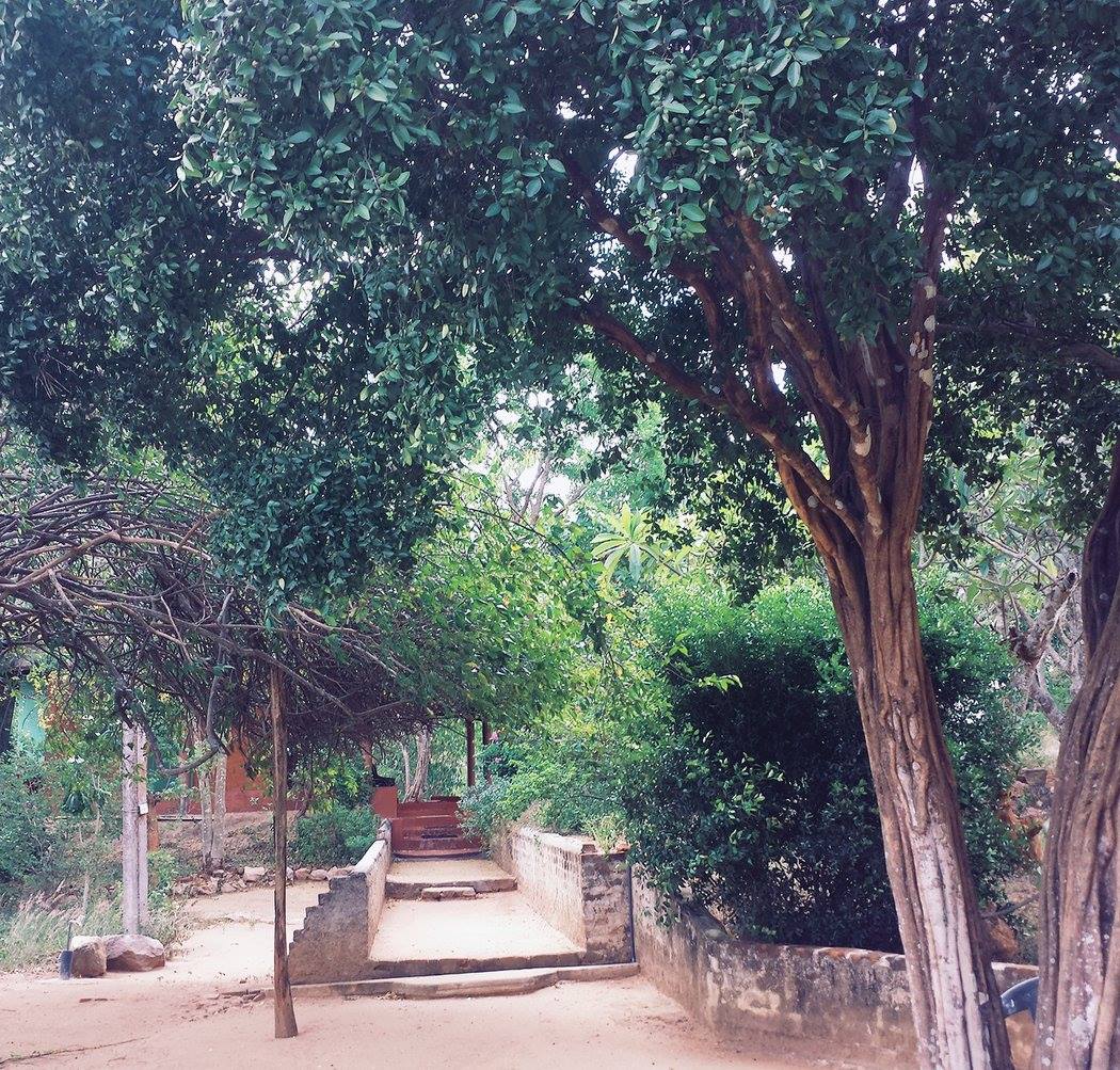 ගැලරිය – Valagamba Lord Buddha’s Teachings.